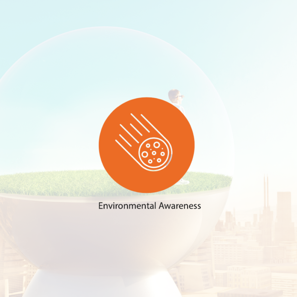 Think more strategically: Environmental Awareness: Example