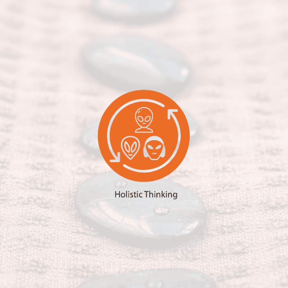 How to think more strategically: Holistic Thinking: Example