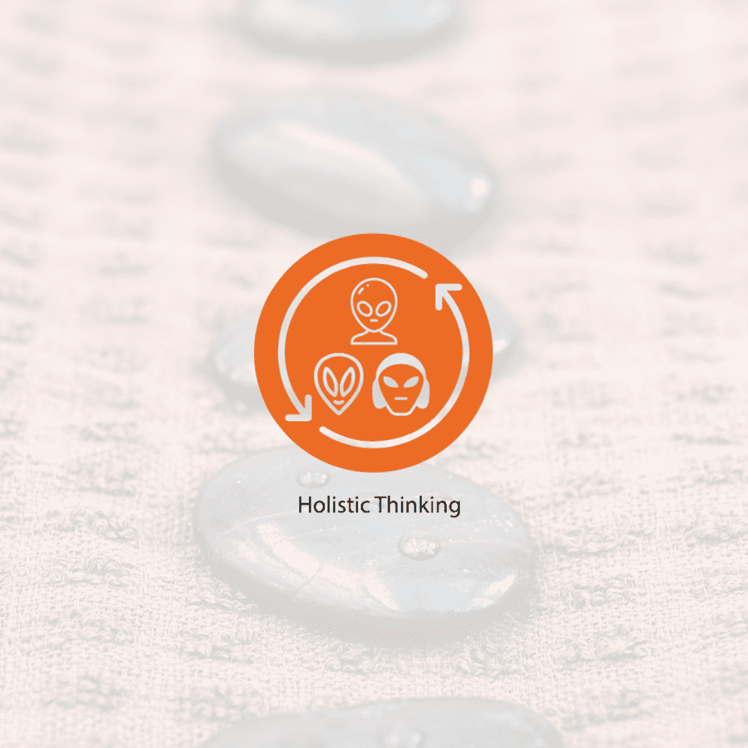 How to think more strategically: Holistic Thinking: Example